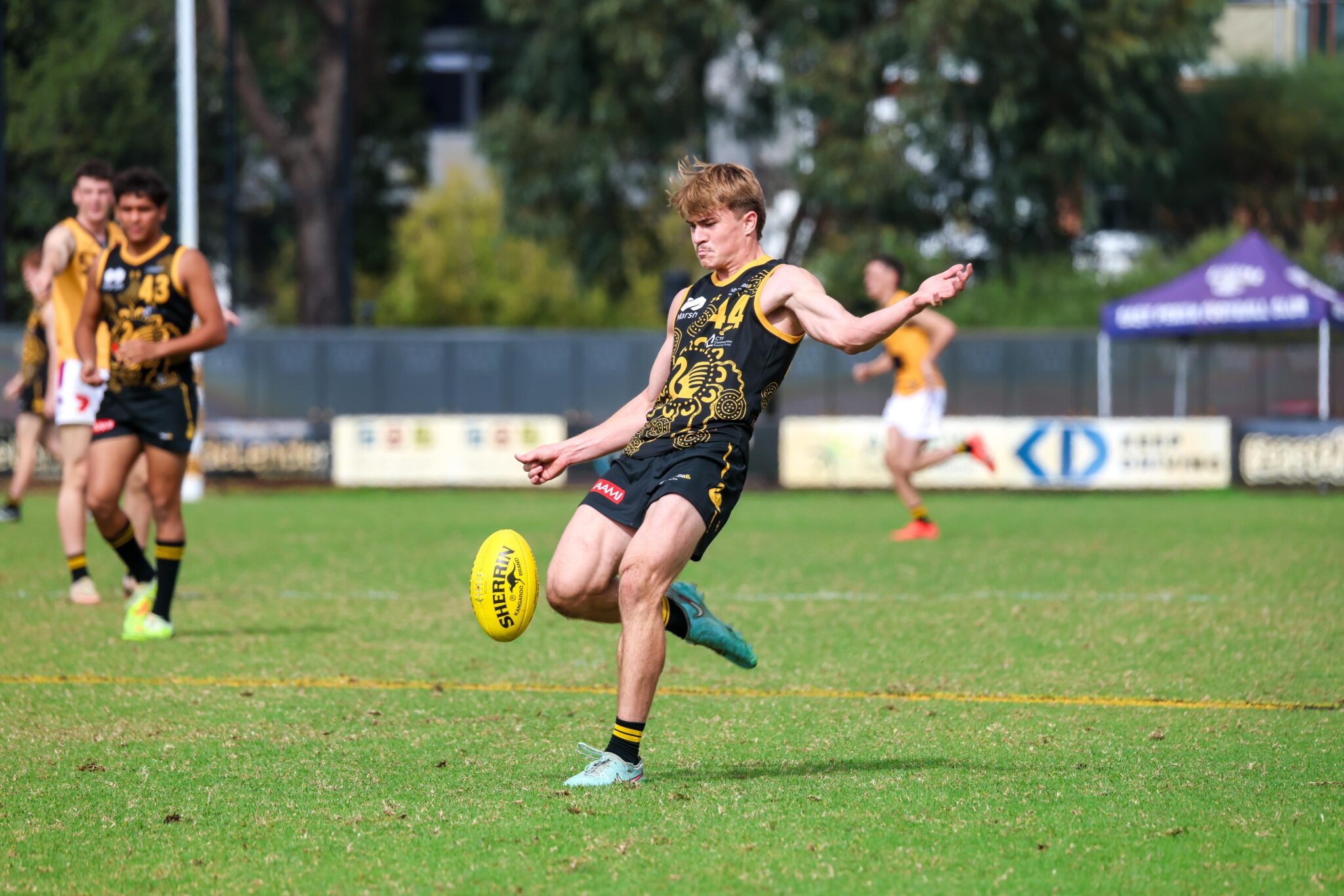 Swan Districts young gun Steed reflects on rapid rise - WA Football